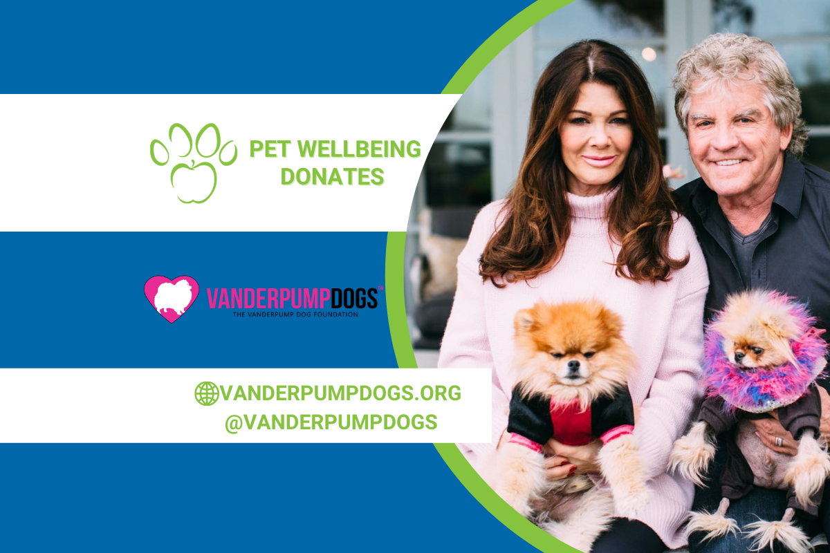 Rescues the Rescues Update: Vanderpump Dogs Foundation | Pet Wellbeing