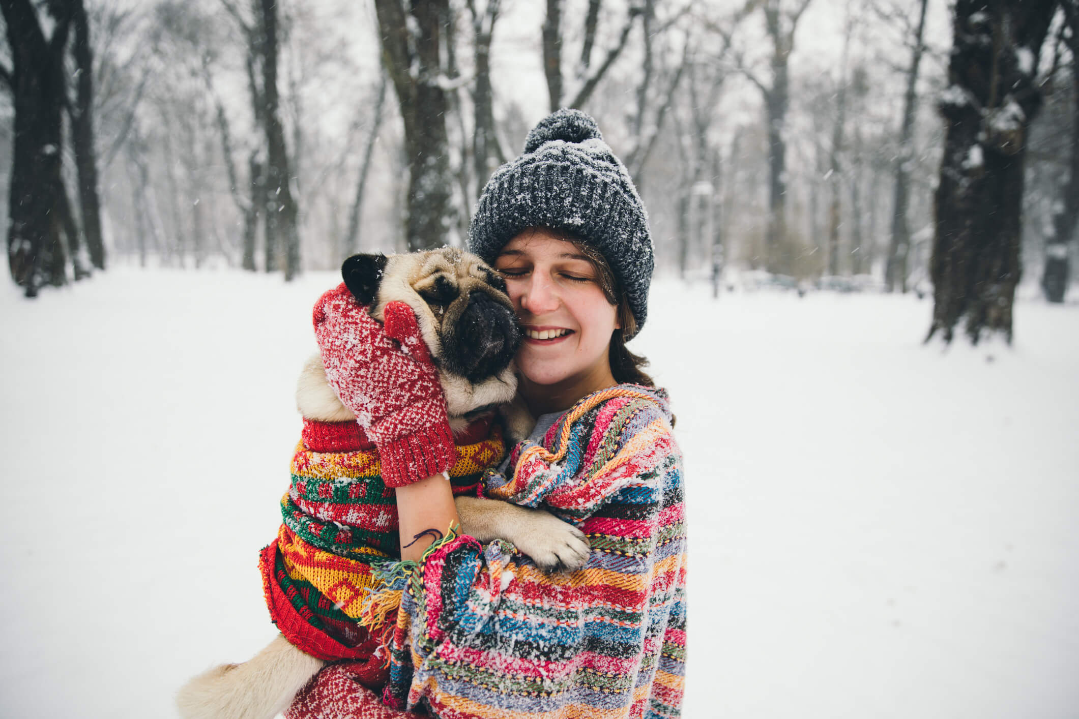 10 Tips for Preparing Your Pets for Winter | Pet Wellbeing