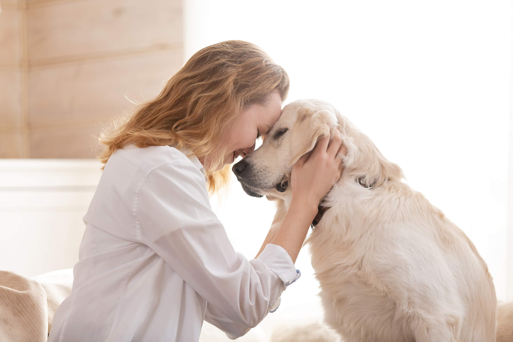 6 Ways Adopting a Pet Can Improve Your Life | Pet Wellbeing
