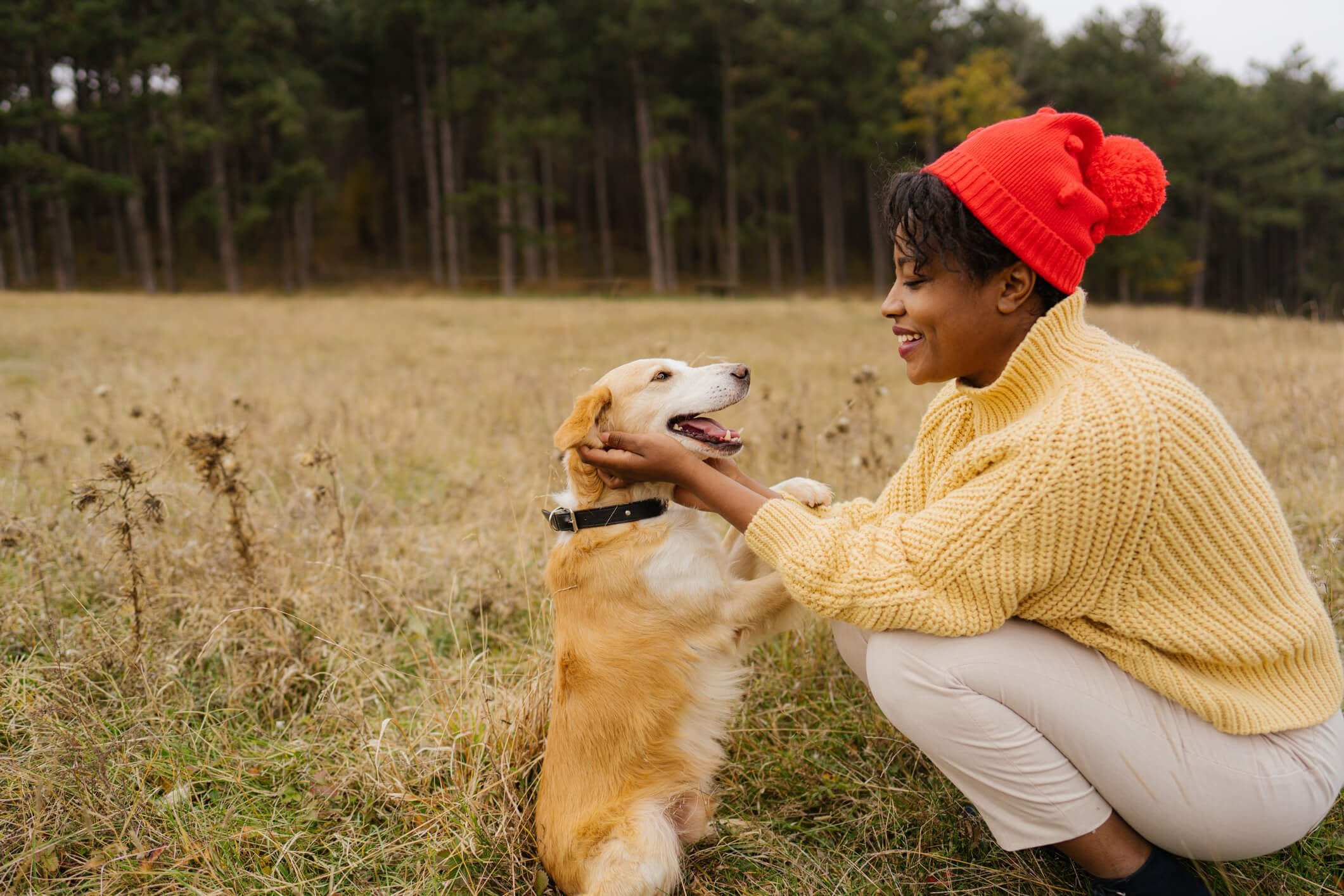 How Chewables Make Pet Health Easier to Achieve | Pet Wellbeing