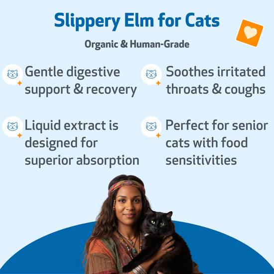 Slippery Elm - for Healthy Digestive Tract and Throat Tissue in Cats ...