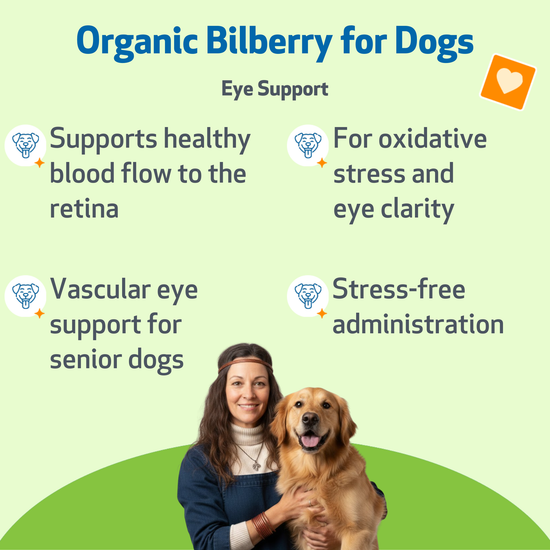 Bilberry - Supports Healthy Vision and Capillaries in Dogs | Pet Wellbeing