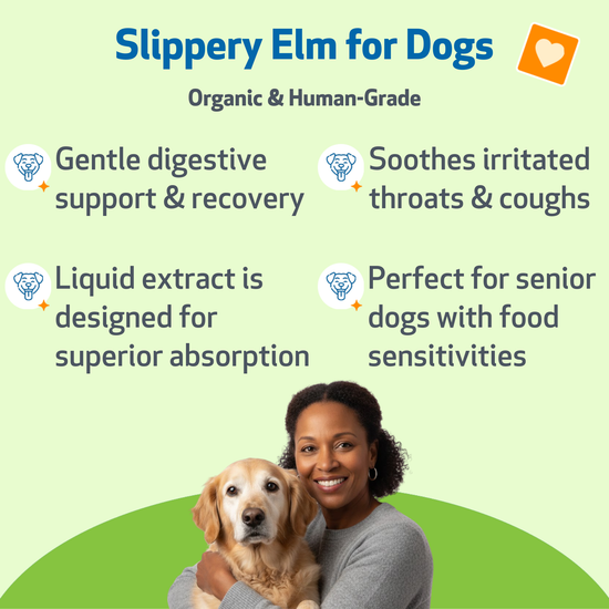 Slippery Elm - for Healthy Digestive Tract and Throat Tissue in Dogs ...