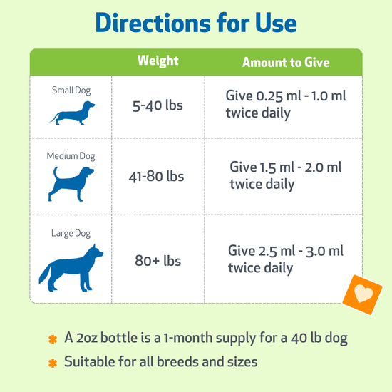 Bilberry - Supports Healthy Vision and Capillaries in Dogs | Pet Wellbeing