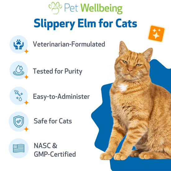 Slippery Elm - for Healthy Digestive Tract and Throat Tissue in Cats ...