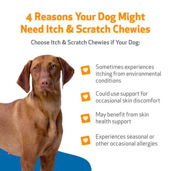 Itch & Scratch Chewies - Comfortable and Healthy Skin for Dogs | Pet ...