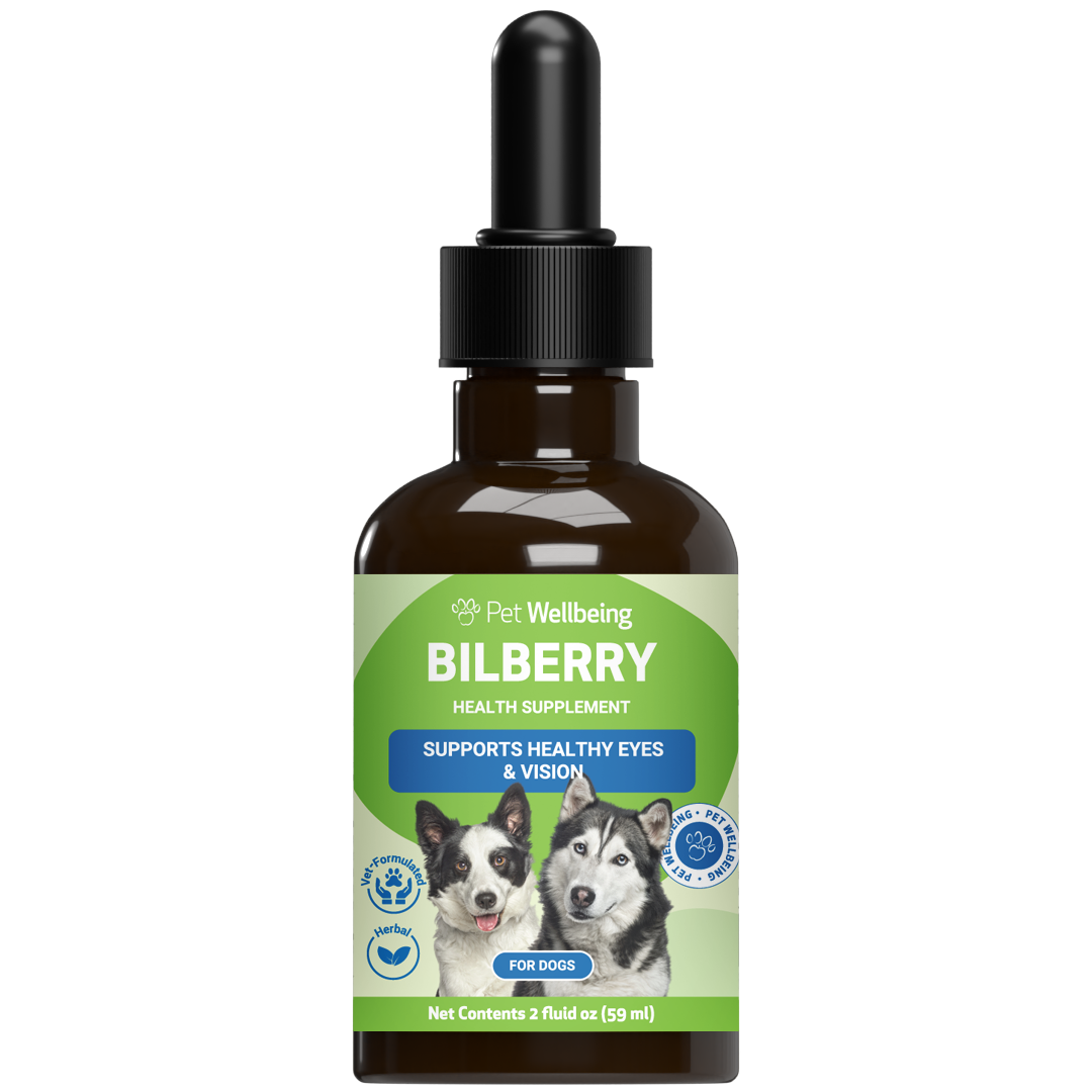 Bilberry - Supports Healthy Vision and Capillaries in Dogs | Pet Wellbeing