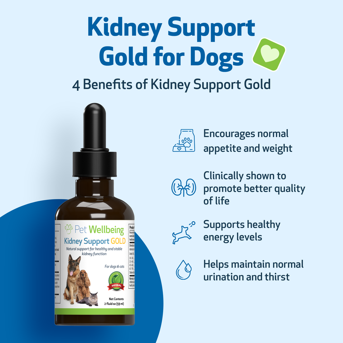 Kidney Support Gold - for Healthy Kidney Function in Dogs | Pet Wellbeing
