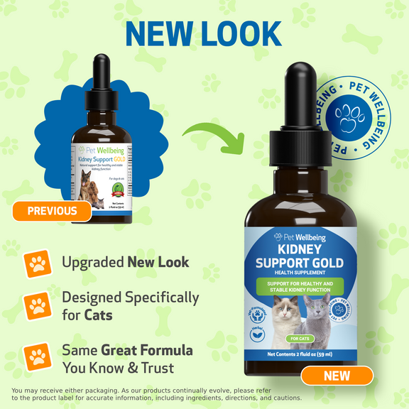 Kidney Support Gold - for Healthy Kidney Function in Cats | Pet Wellbeing