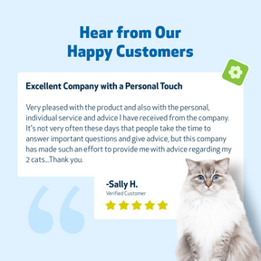 Kidney Support Gold - for Healthy Kidney Function in Cats | Pet Wellbeing