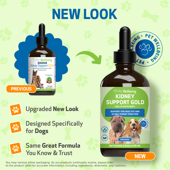 Kidney Support Gold - for Healthy Kidney Function in Dogs | Pet Wellbeing
