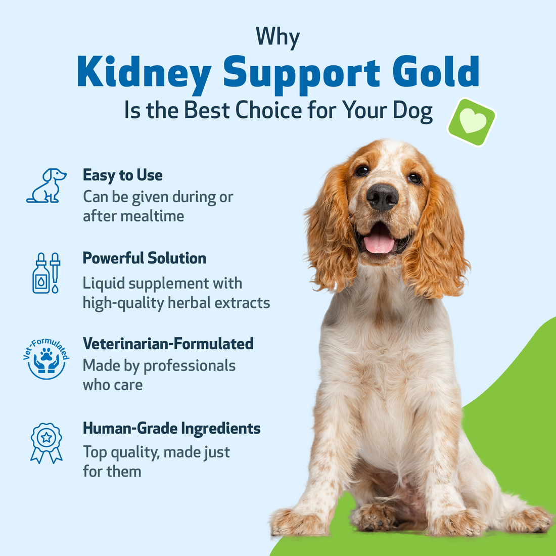 Kidney Support Gold - for Healthy Kidney Function in Dogs | Pet Wellbeing