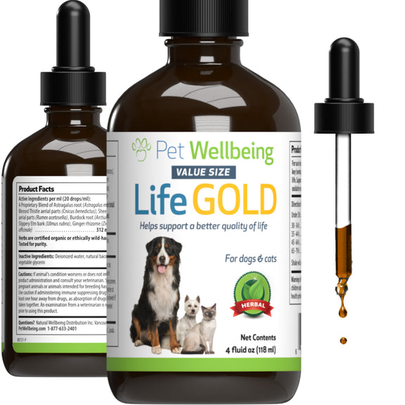Life Gold - Immune, Antioxidant, and Detoxification Support for Dogs ...