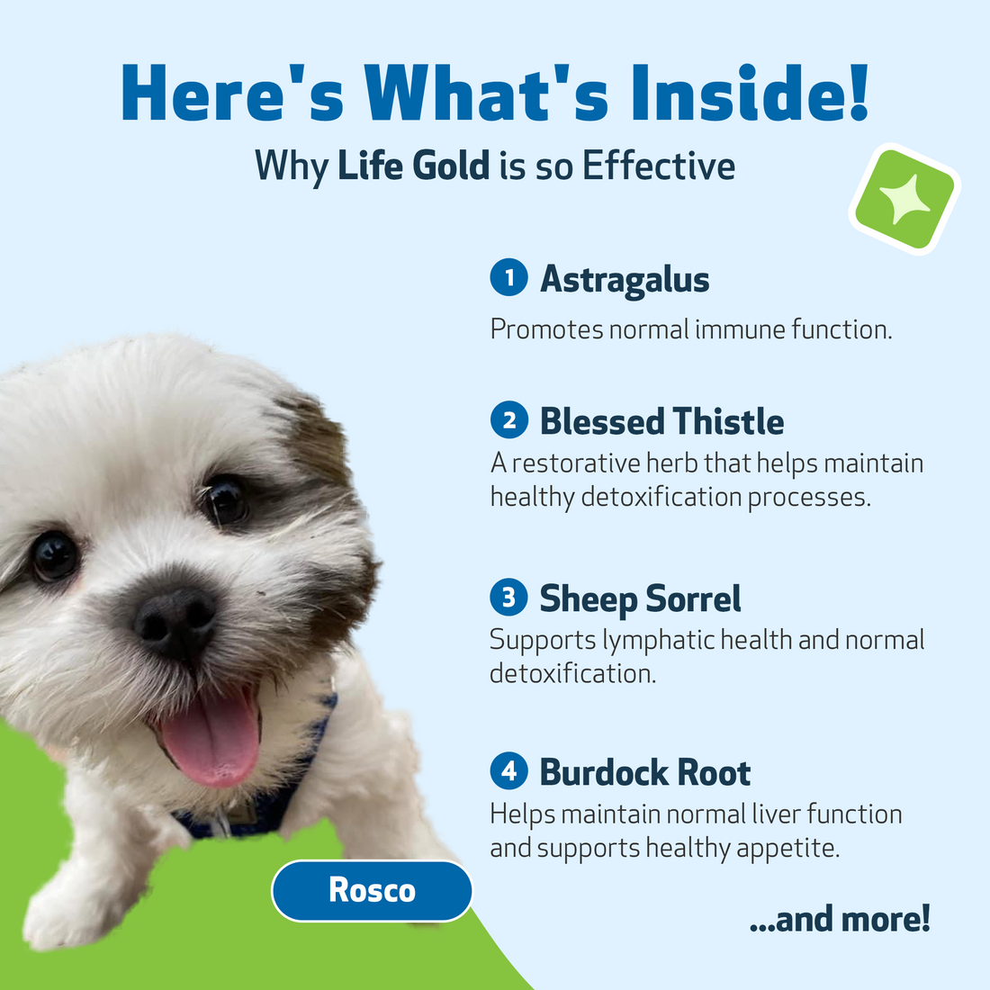 Life Gold - Immune, Antioxidant, and Detoxification Support for Dogs ...