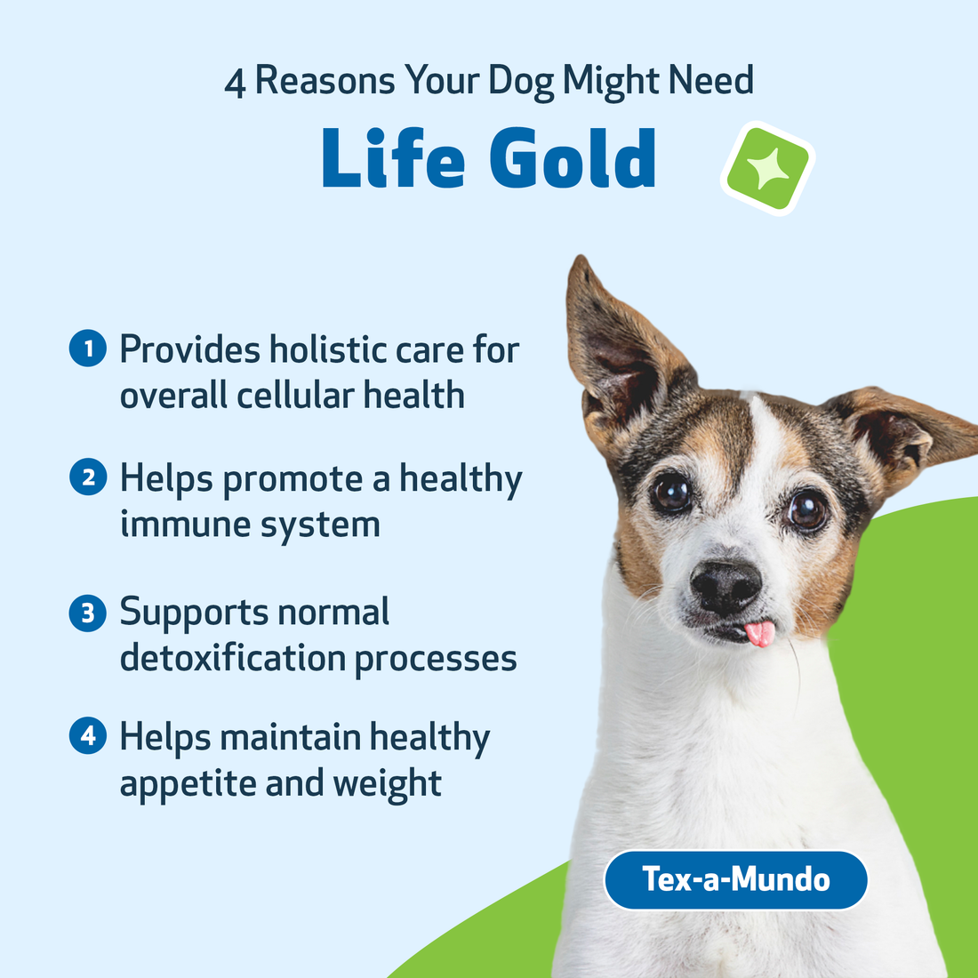 Life Gold - Immune, Antioxidant, and Detoxification Support for Dogs ...