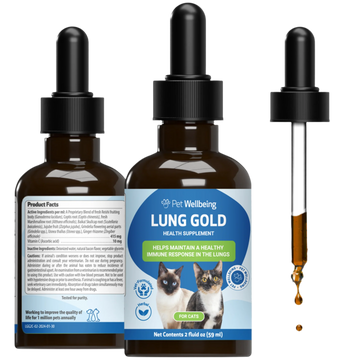 Natural Holistic Pet Supplements | Vet-Formulated Herbal Medicine