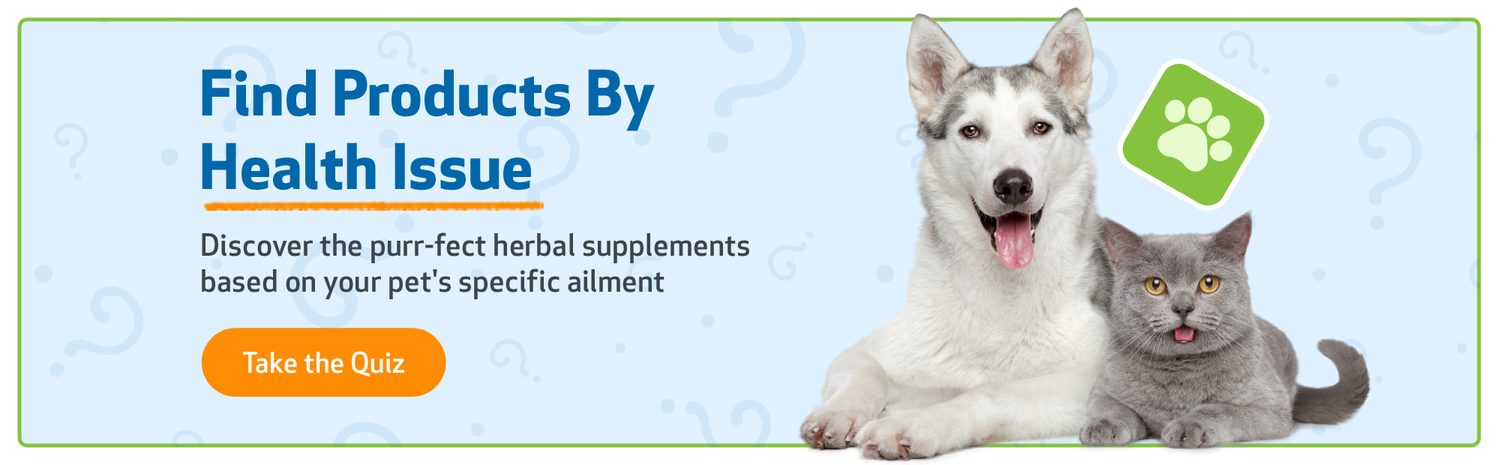 Natural Holistic Pet Supplements | Vet-Formulated Herbal Medicine