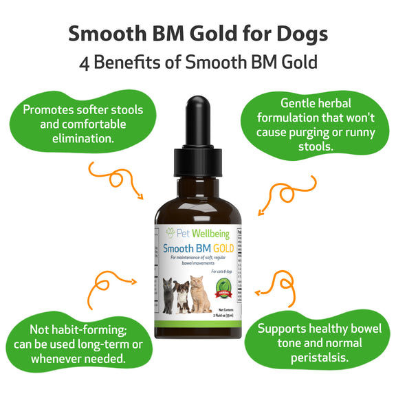 Smooth BM Gold - Supports Healthy Bowel Movements in Dogs | Pet Wellbeing