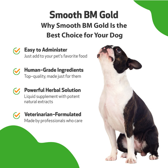 Smooth BM Gold - Supports Healthy Bowel Movements in Dogs | Pet Wellbeing