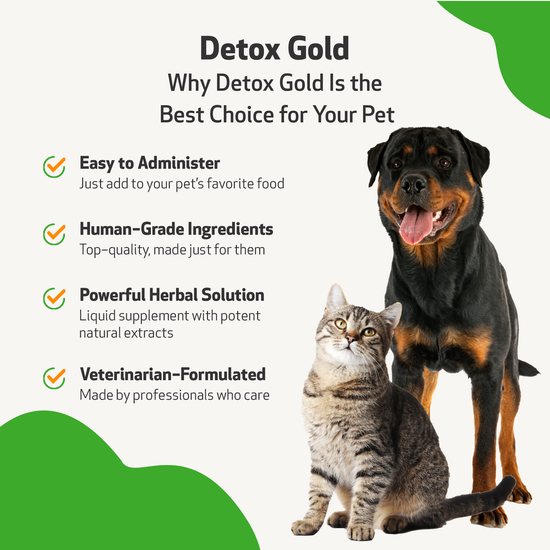 Detox Gold - Supports Healthy Detoxification & Elimination for Dogs ...