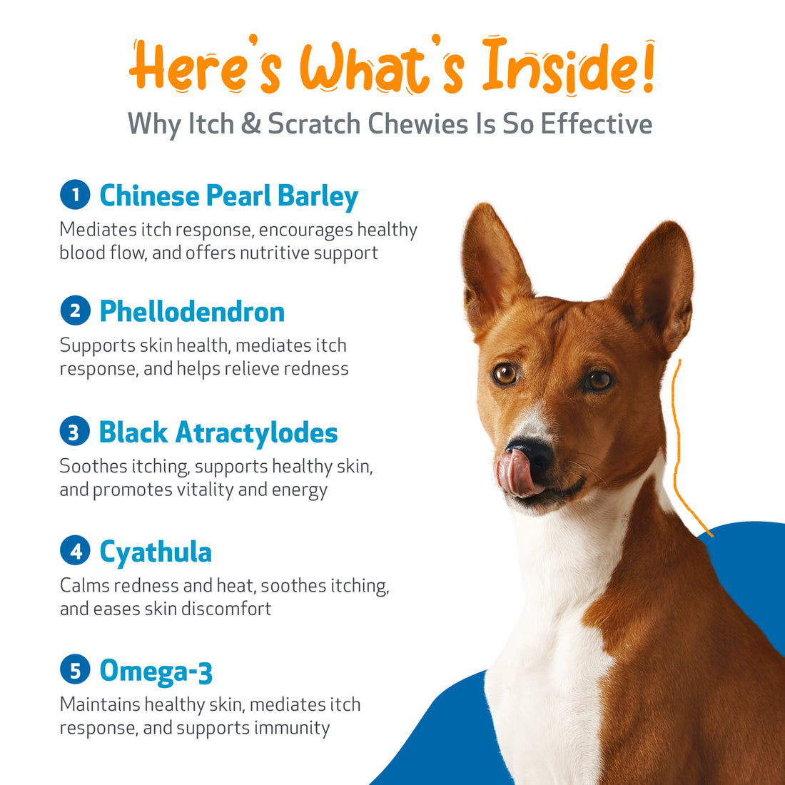 Itch & Scratch Chewies - Comfortable and Healthy Skin for Dogs | Pet ...