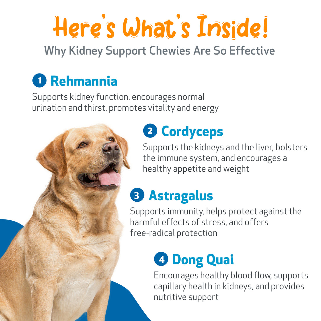 Kidney Support Chewies - Fluid Balance and Kidney Health for Dogs | Pet ...
