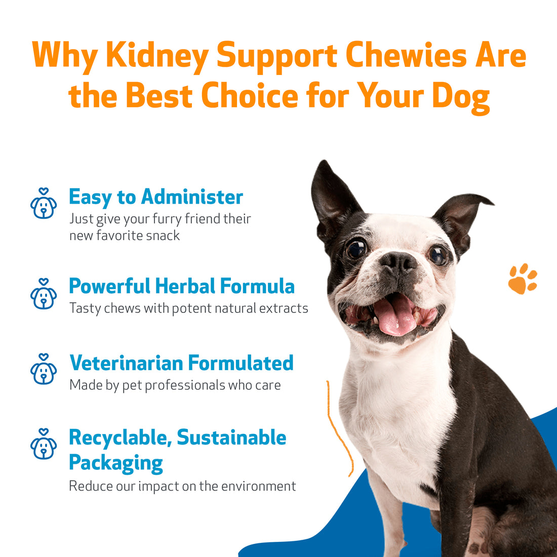 Kidney Support Chewies - Fluid Balance and Kidney Health for Dogs | Pet ...