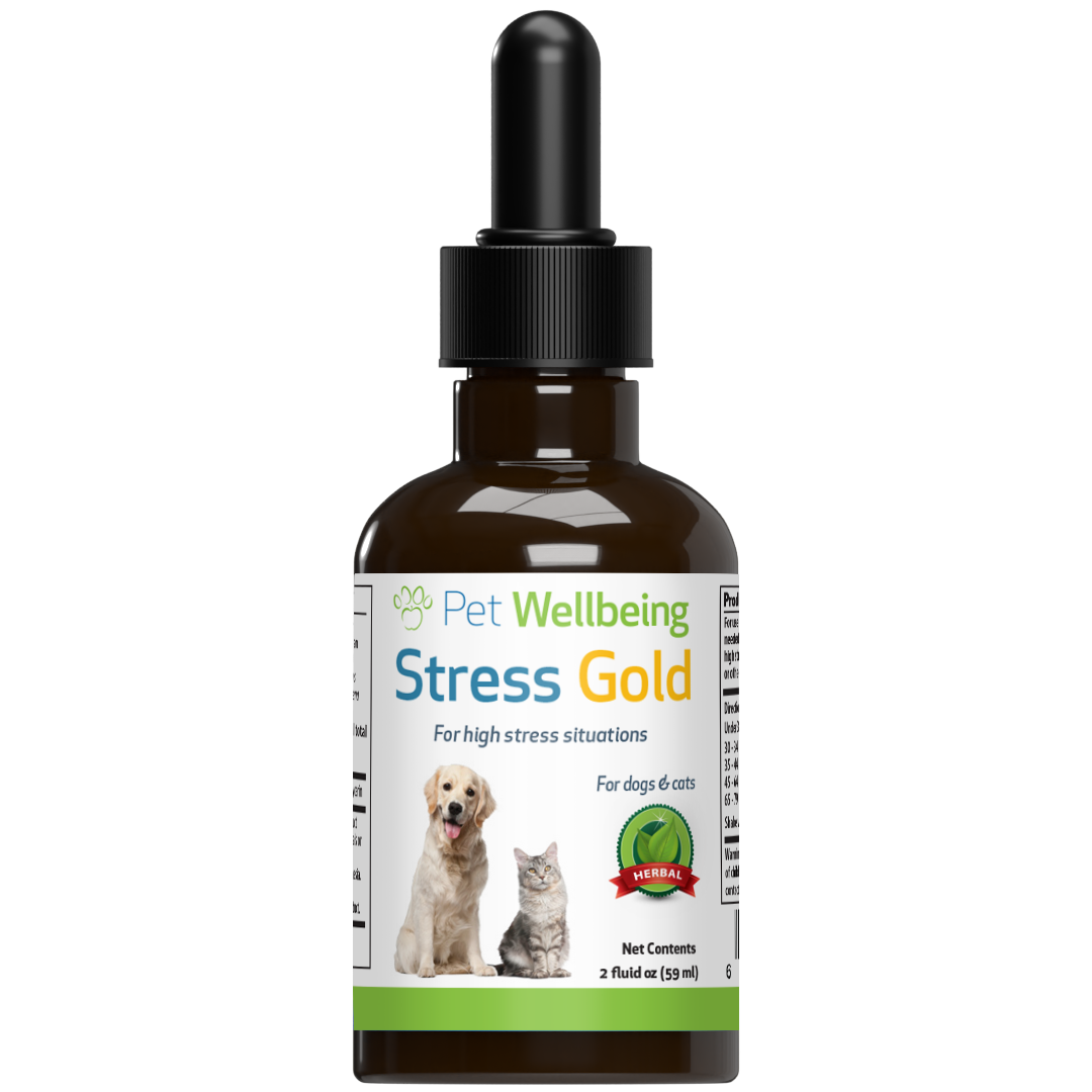Stress Dog
